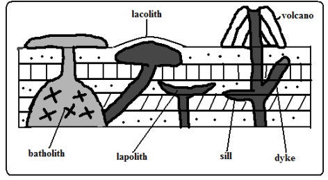 Easyelimu