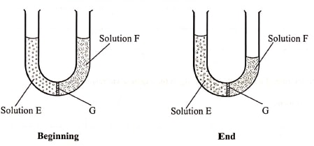 Easyelimu